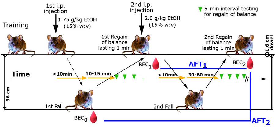 MPD: Bennett3: project protocol