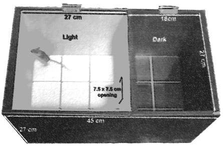 MPD: Brown1: project protocol