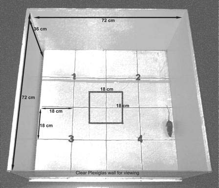 MPD: Brown1: project protocol