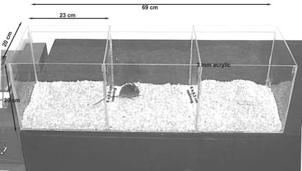 MPD: Brown2: project protocol