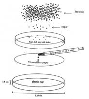 MPD: Brown2: project protocol