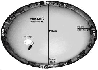 MPD: Brown2: project protocol