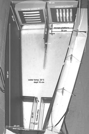 MPD: Brown2: project protocol