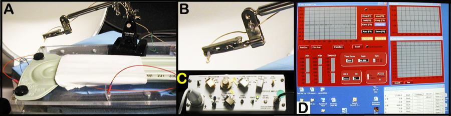 MPD: Chang1: project protocol