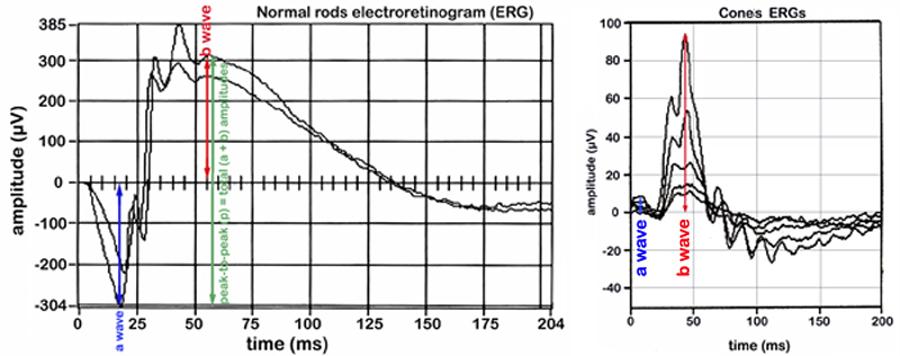 MPD: Chang1: project protocol