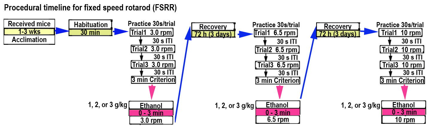 MPD: Crabbe3: project protocol