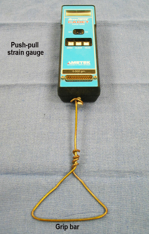 MPD: Crabbe4: project protocol