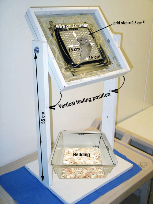 MPD: Crabbe4: project protocol