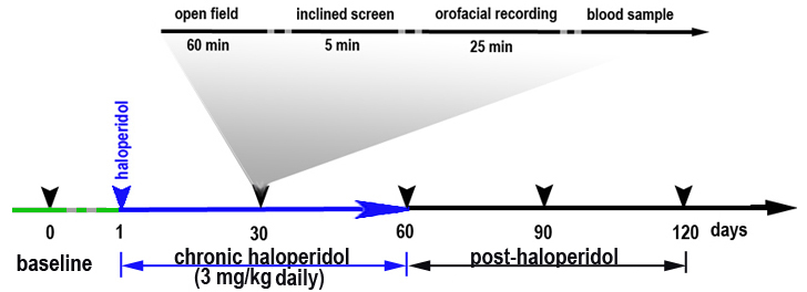 MPD: Crowley1: project protocol
