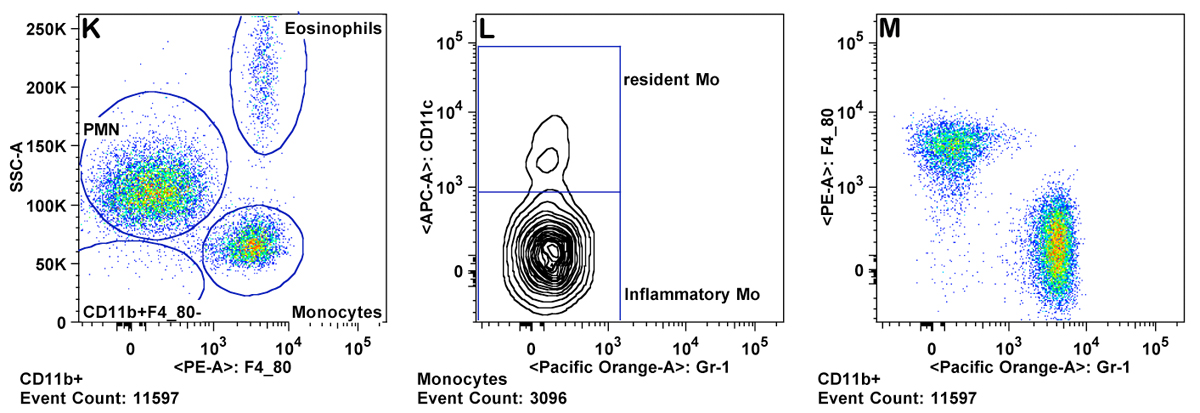 MPD: Donahue6: project protocol