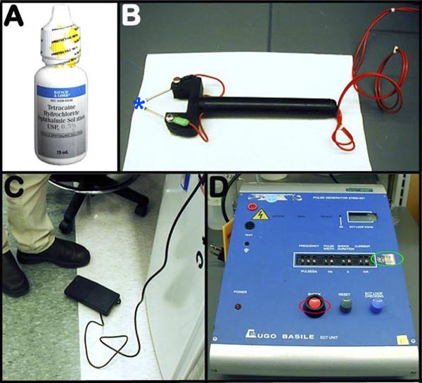 MPD: Frankel1: project protocol