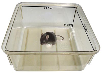 MPD: Frankel1: project protocol