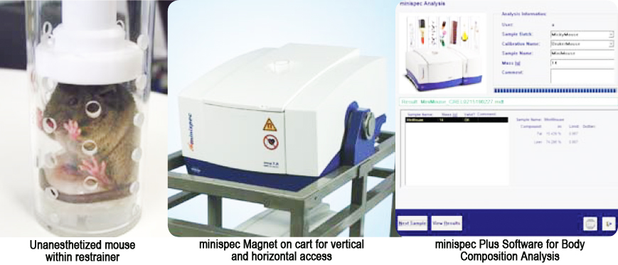MPD: HMDPpheno2: project protocol