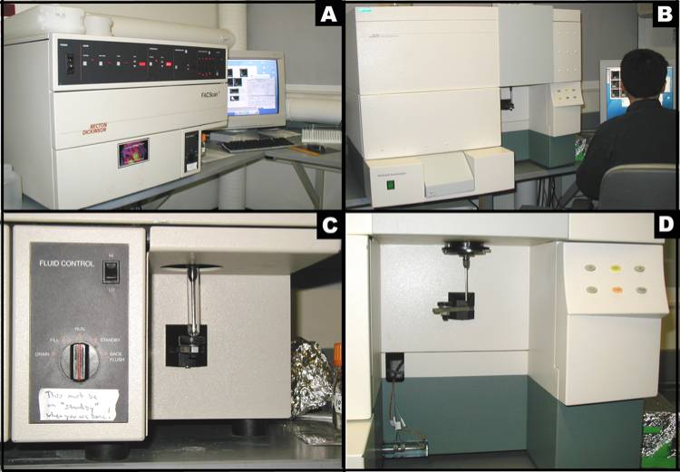 MPD: Jaxpheno6: project protocol
