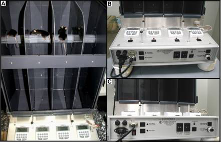 MPD: Jaxpheno7: project protocol