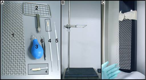 MPD: Jaxpheno7: project protocol