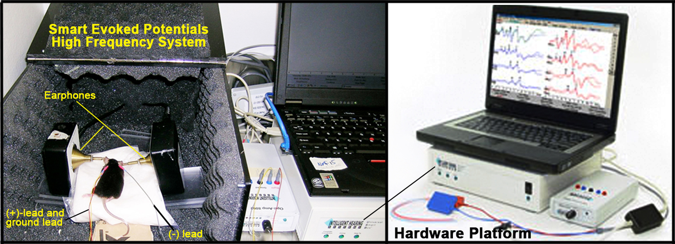 MPD: Johnson4: project protocol