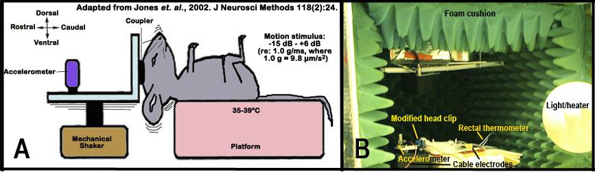 MPD: Jones1: project protocol