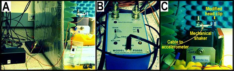 MPD: Jones1: project protocol