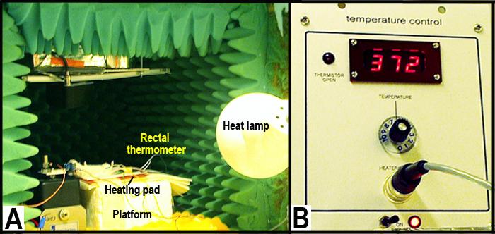MPD: Jones1: project protocol
