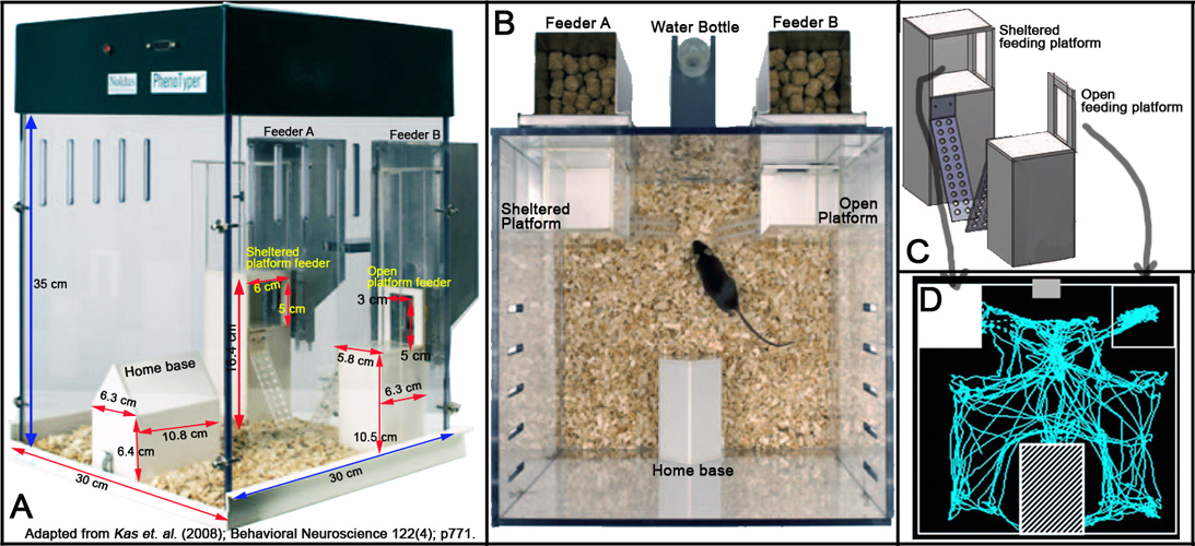 MPD: Kas1: project protocol