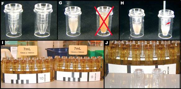 MPD: Lake1: project protocol