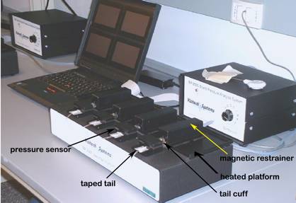 MPD: Lake1: project protocol