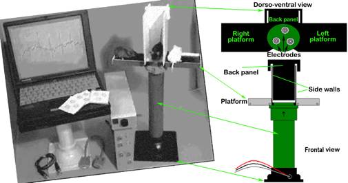 MPD: Lake1: project protocol