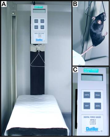 MPD: Lake3: project protocol