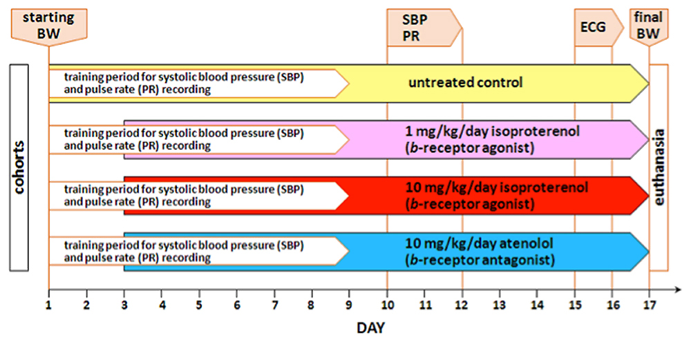 MPD: Maurer1: project protocol