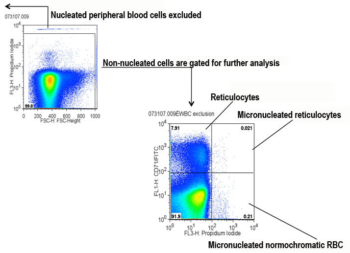MPD: Mills1: project protocol