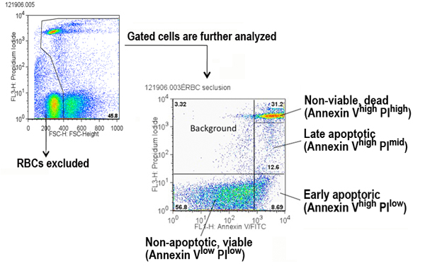 MPD: Mills1: project protocol