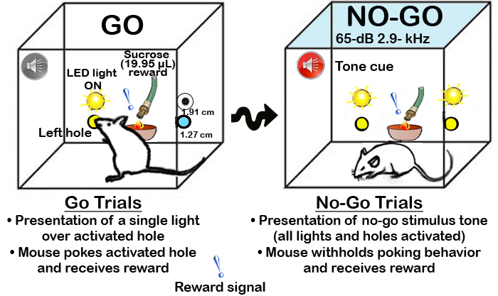 MPD: Mitchell1: project protocol