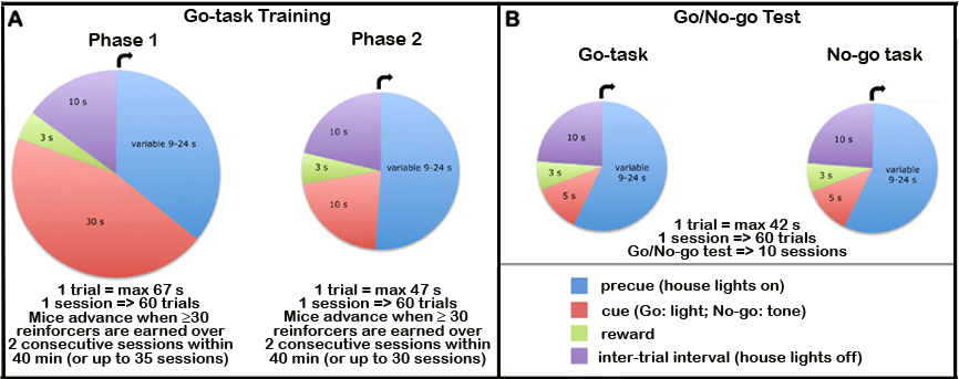 MPD: Mitchell1: project protocol