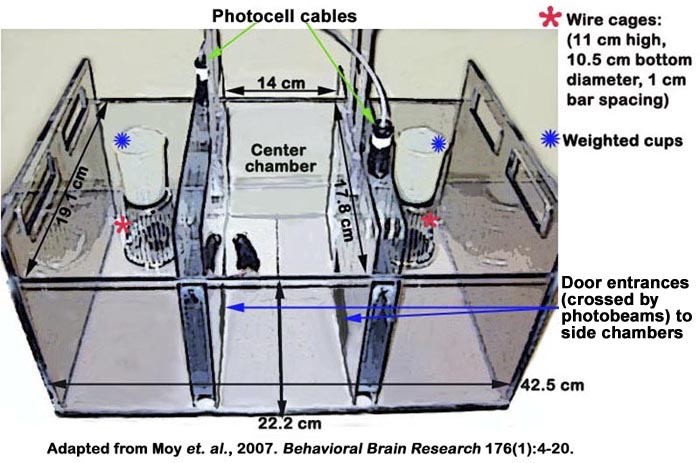 MPD: Moy1: project protocol