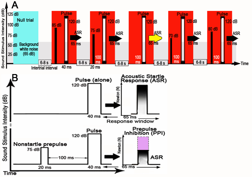 MPD: Petryshen1: project protocol
