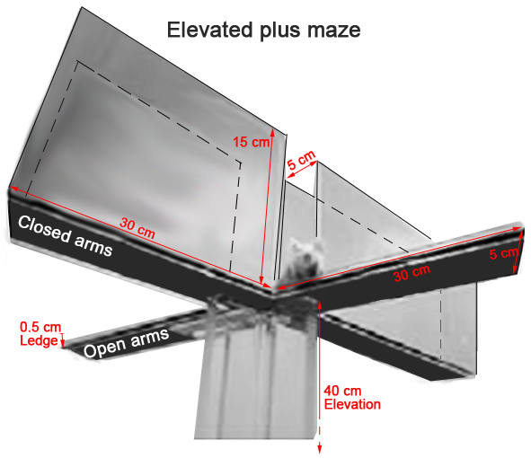 MPD: Schalkwyk1: project protocol