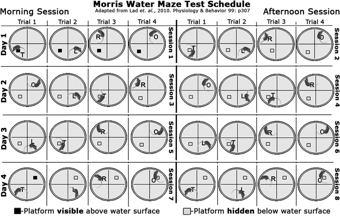 MPD: Schalkwyk1: project protocol