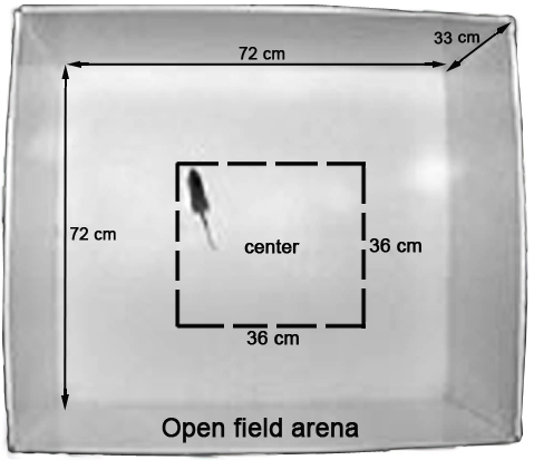 MPD: Schalkwyk1: project protocol