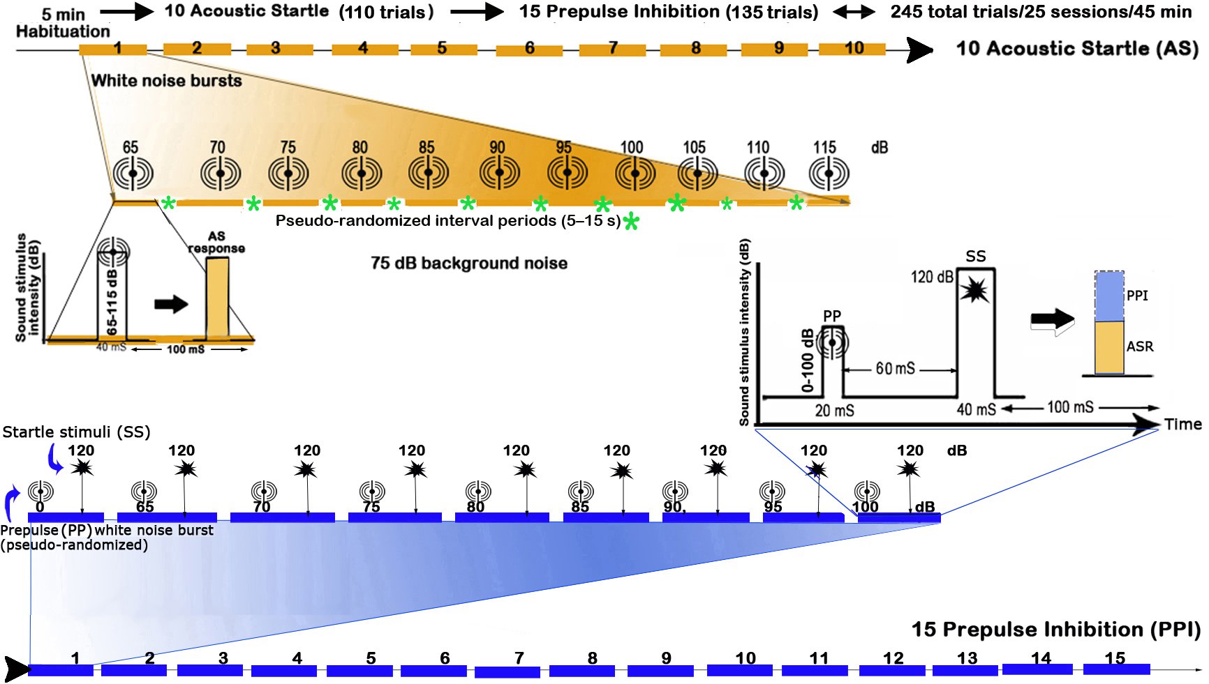 MPD: Spijker1: project protocol