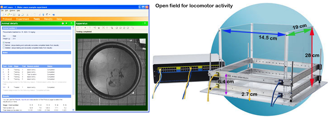 MPD: Thomsen1: project protocol